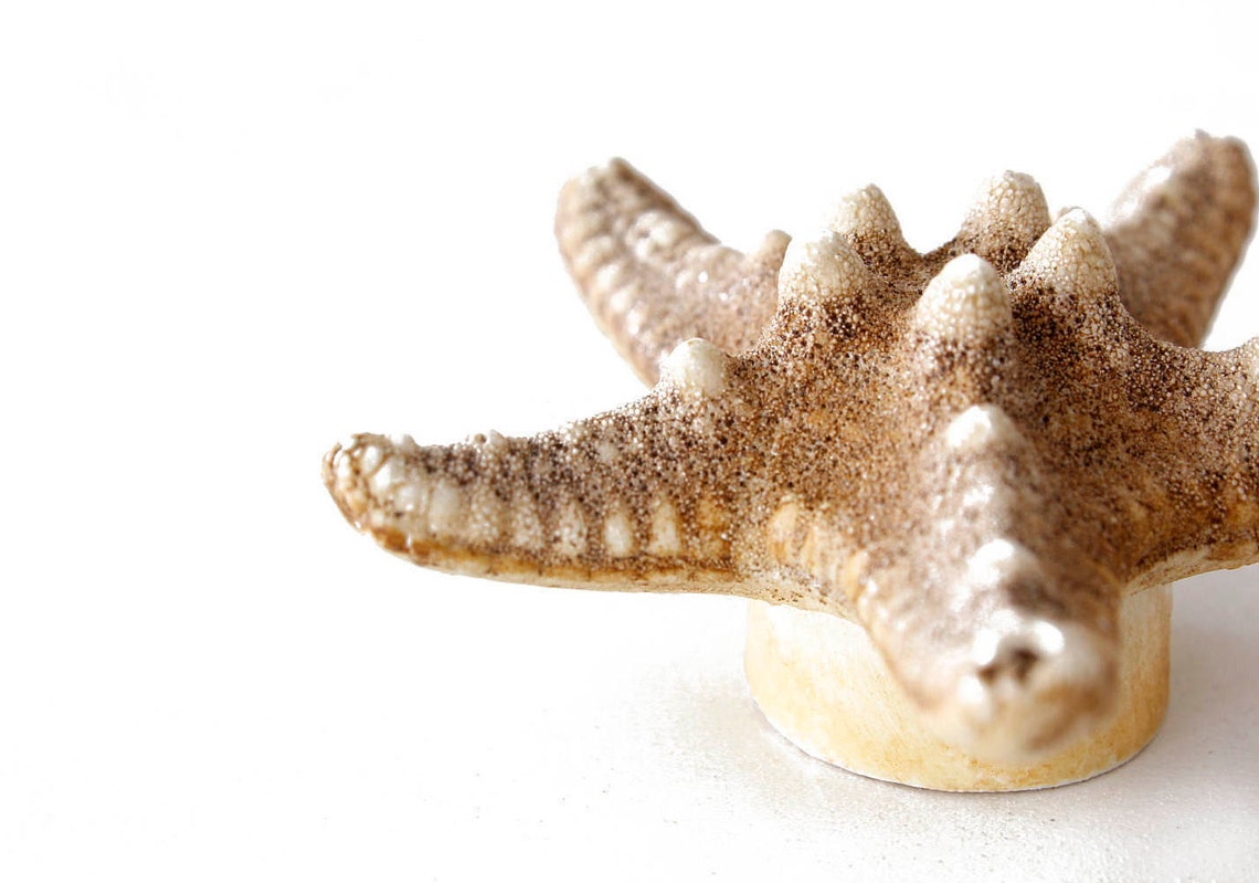 Starfish Cabinet Beach House Cupboard Knobs Drawer Knobs Decor Decorative Knobs Kitchen Pulls ...
