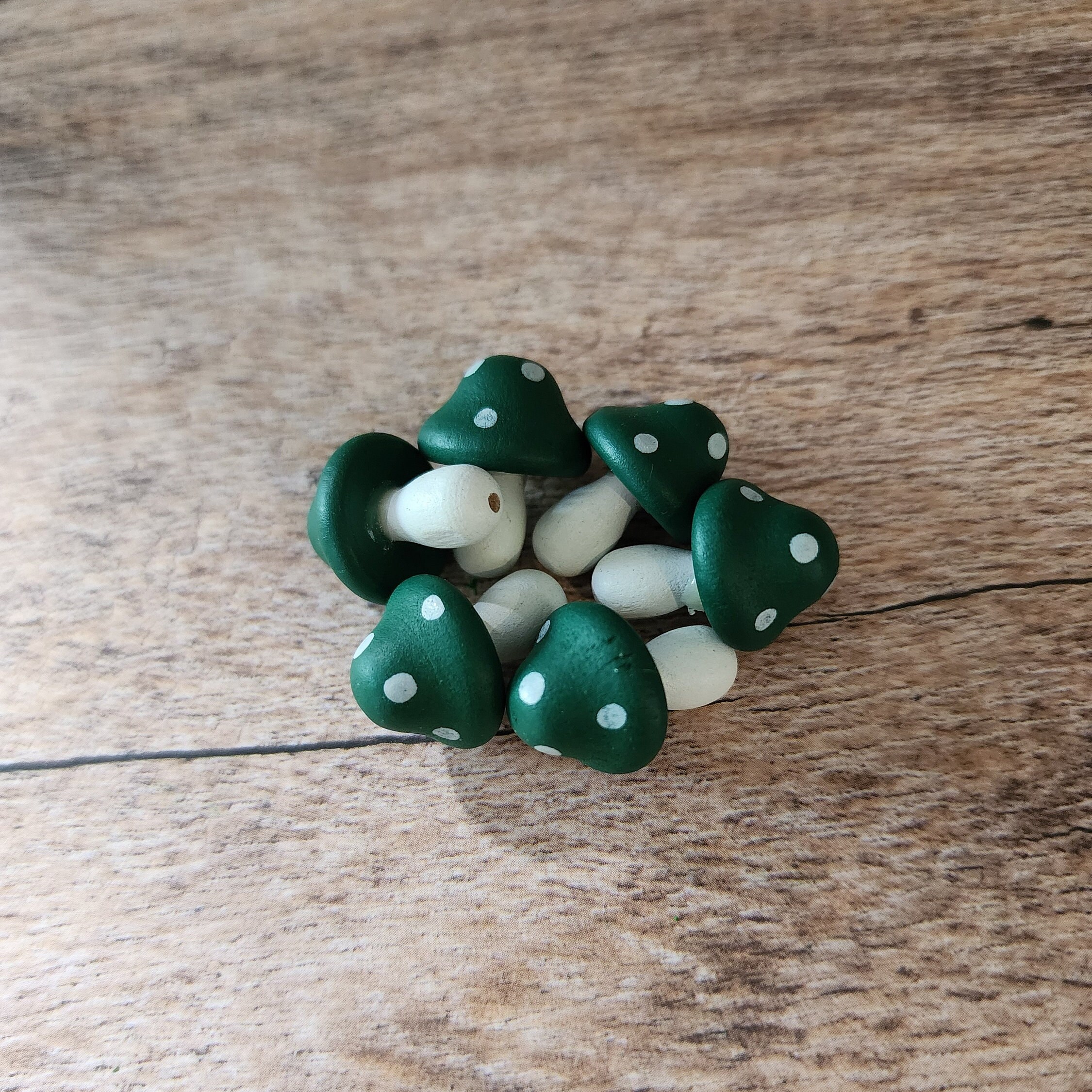 Fairy Garden Mushroom Miniature for Terrarium Miniature Supplies for ...