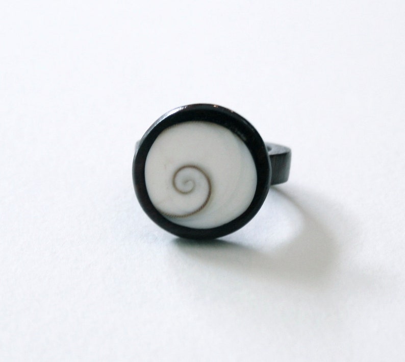 Beautiful Organic Shiva Eye Shell in Wooden Ring. Distinctive - Etsy