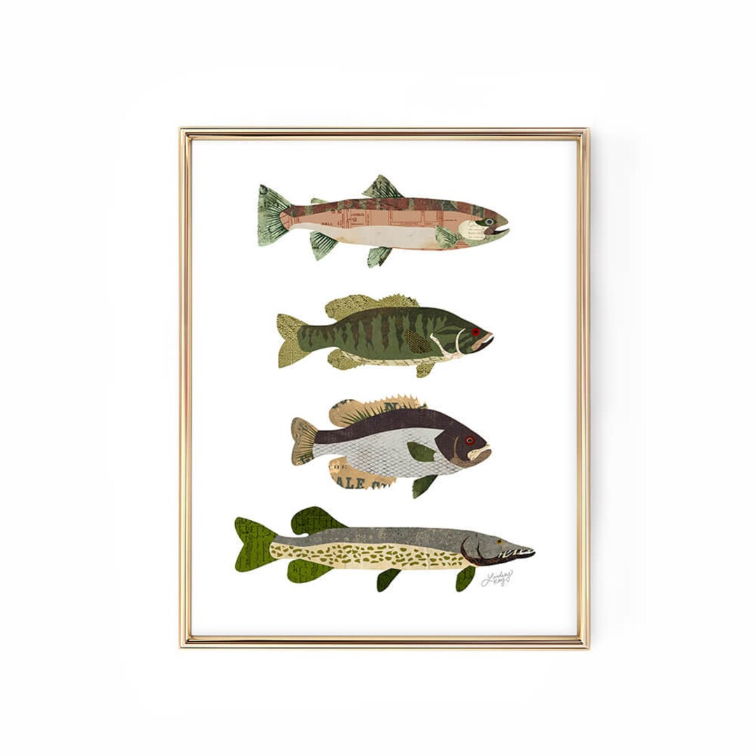 Fish Collage - Illustration Art Print - Etsy
