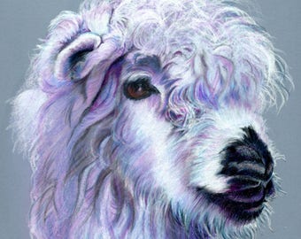 Original Coloured Pencil drawing Ewe've Been | Etsy