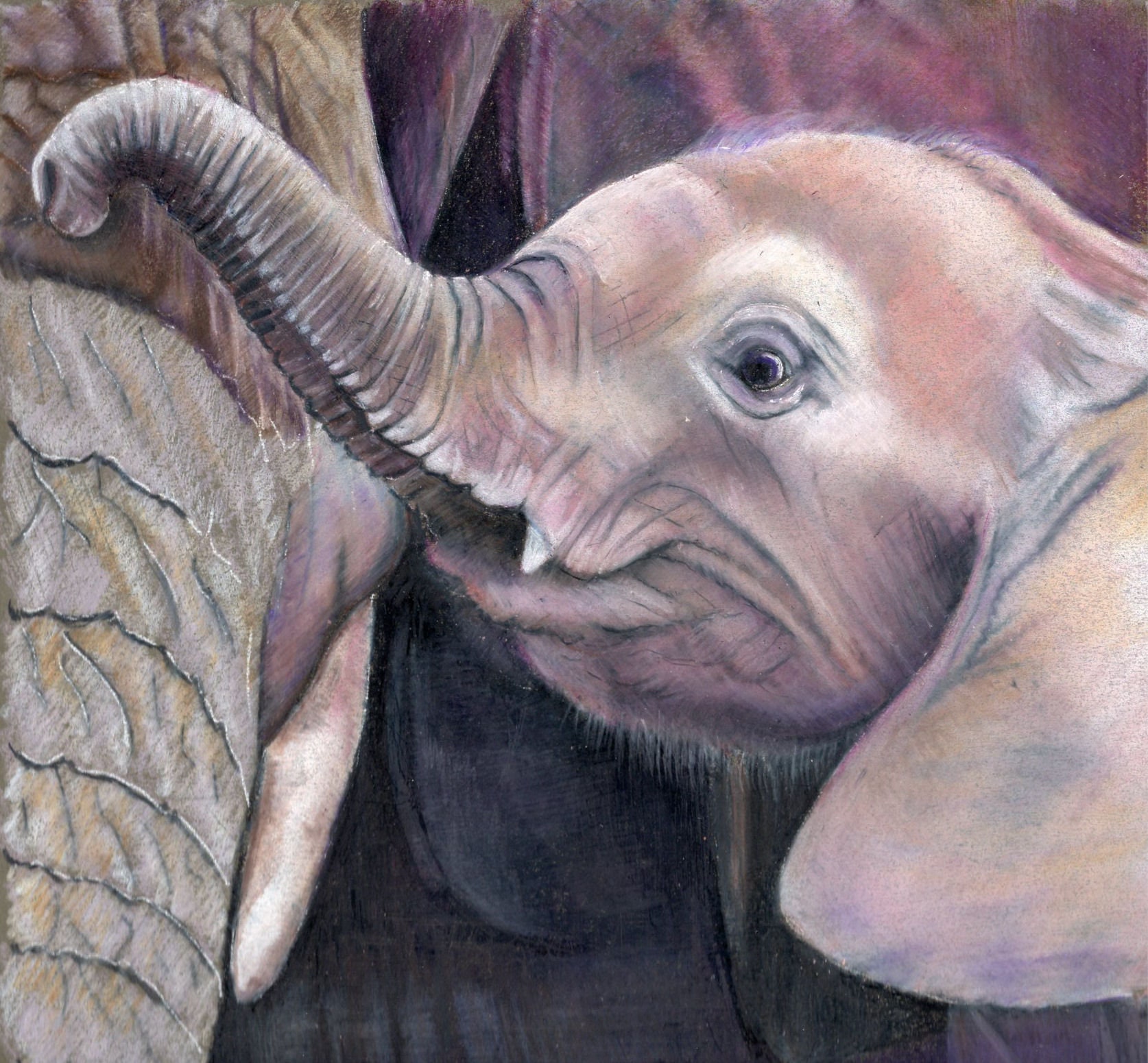 BABY ELEPHANT - Original Coloured Pencil Portrait - 8" X 8" With Double ...