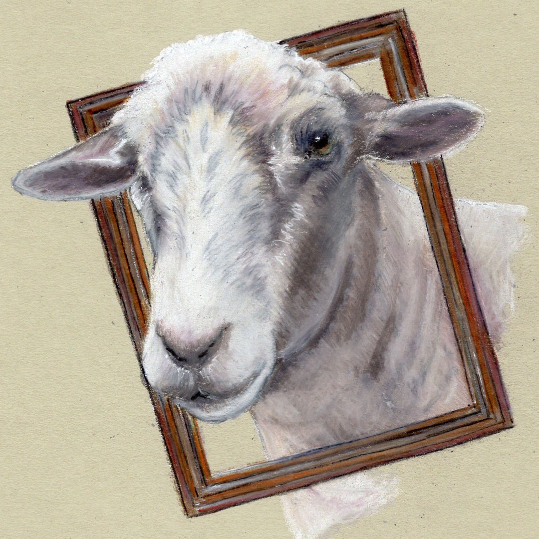 Original Coloured Pencil Drawing ewe've Been Framed Sheep in Fancy ...