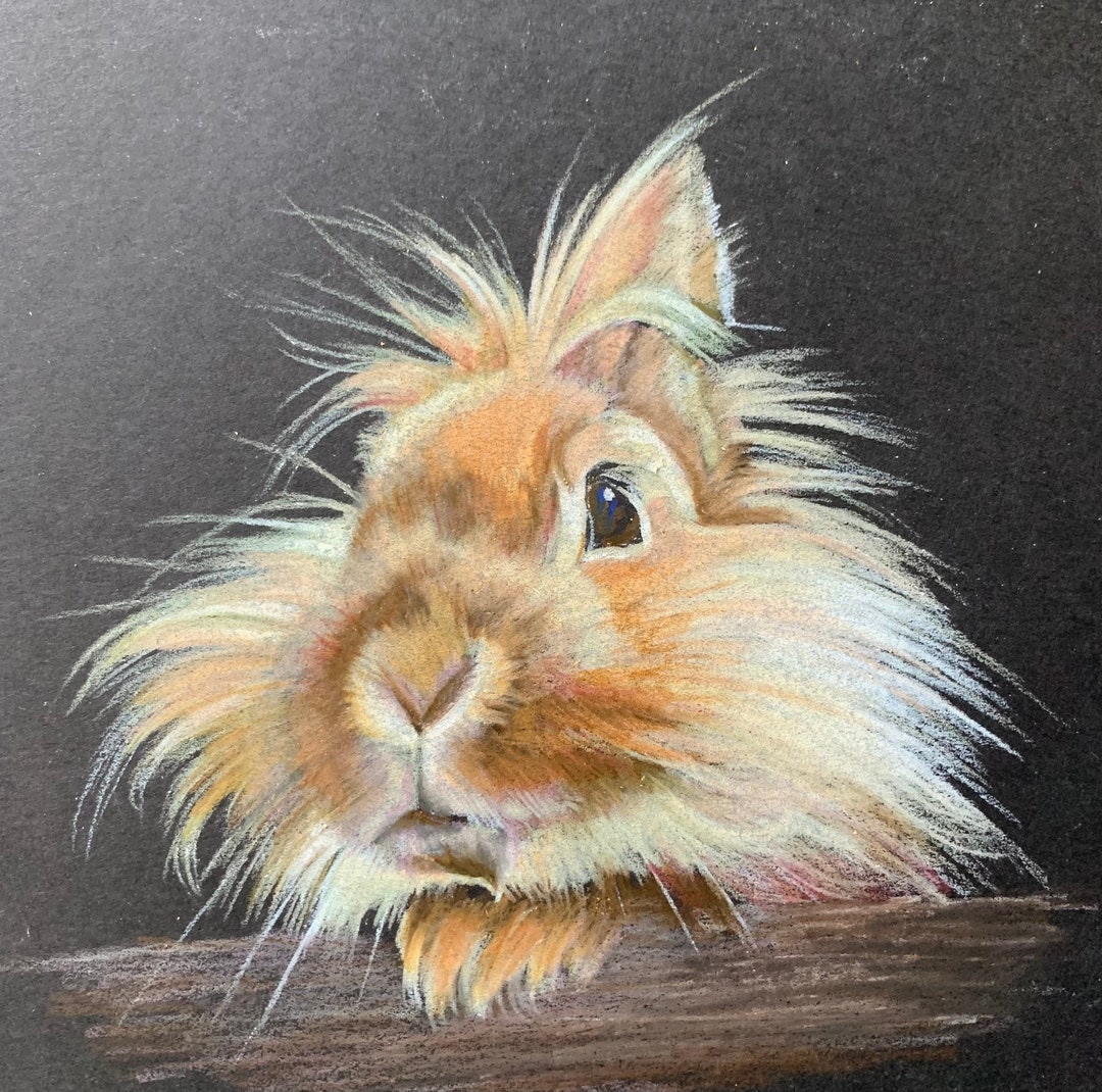 LIONHEAD RABBIT - “MILO” - Original Coloured Pencil Portrait - Approx 7 ...
