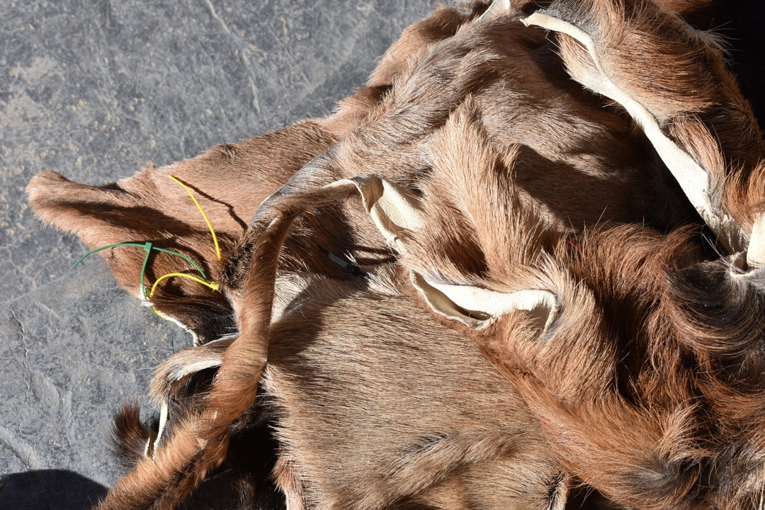 CHOICE of Elk Fur Scraps Pieces, Fur for Fly Tying, Elk Hide Scrap ...