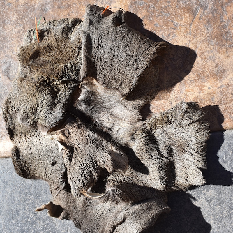 Deer Fur - Etsy
