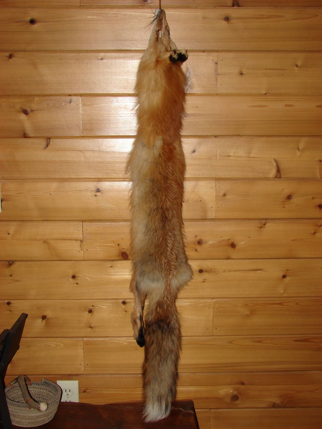 Fox Pelt 13-060 Taxidermy, Tubed Furs, Small Animal Pelts, Animal Fur ...