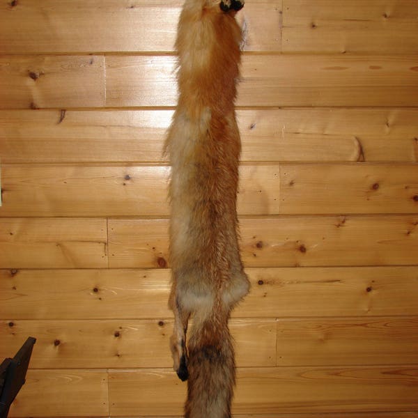 Small Fox Rug - Etsy