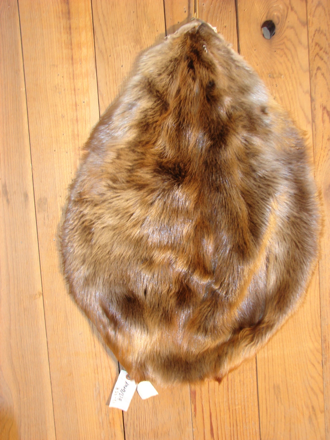 Beaver Pelt 13-059 Taxidermy Fur Animal Rug Tanned Hide - Etsy