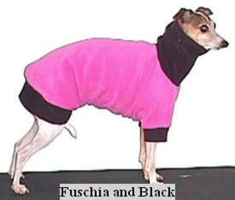 SMALL Custom Made Your Choice Solid Color Italian Greyhound Chinese ...