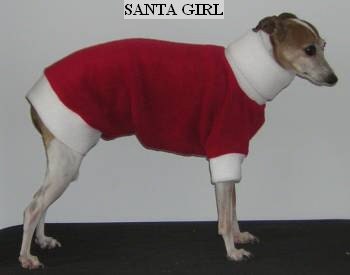 SMALL Custom Made Your Choice Solid Color Italian Greyhound Chinese ...