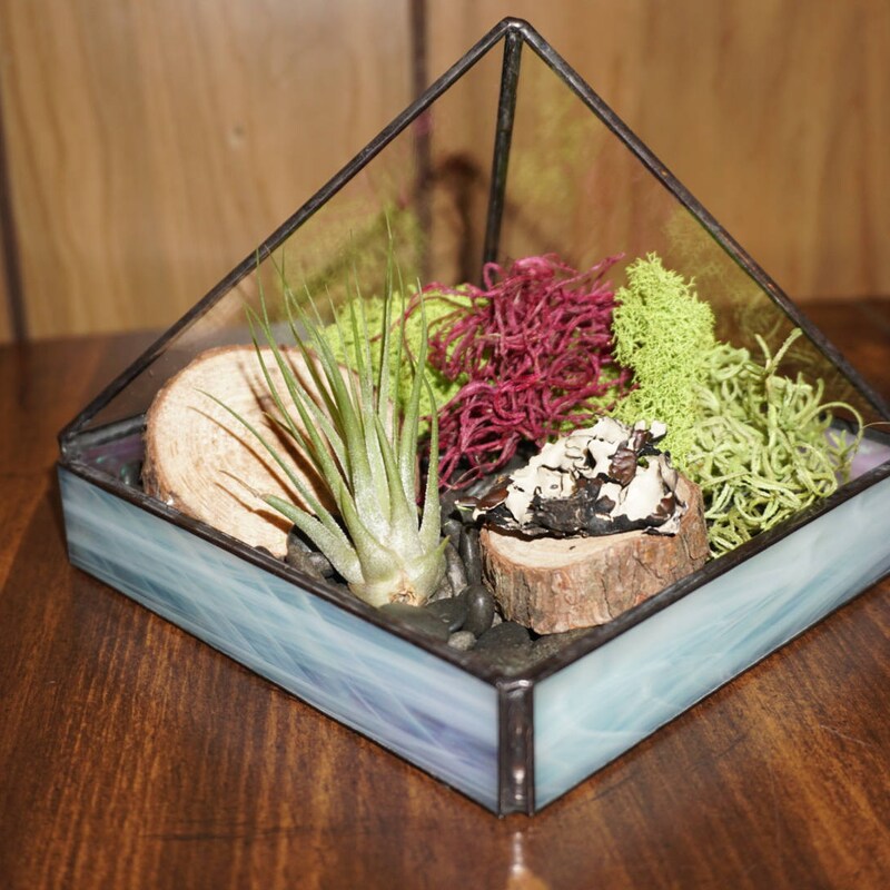 Square Terrarium - Etsy
