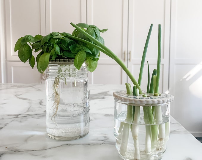 Handmade Pottery Mason Jar Topper, Propagation Station Organization ...