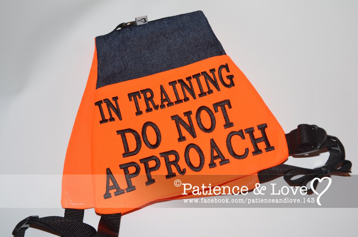 Vest adjustable Size in Training Do Not - Etsy