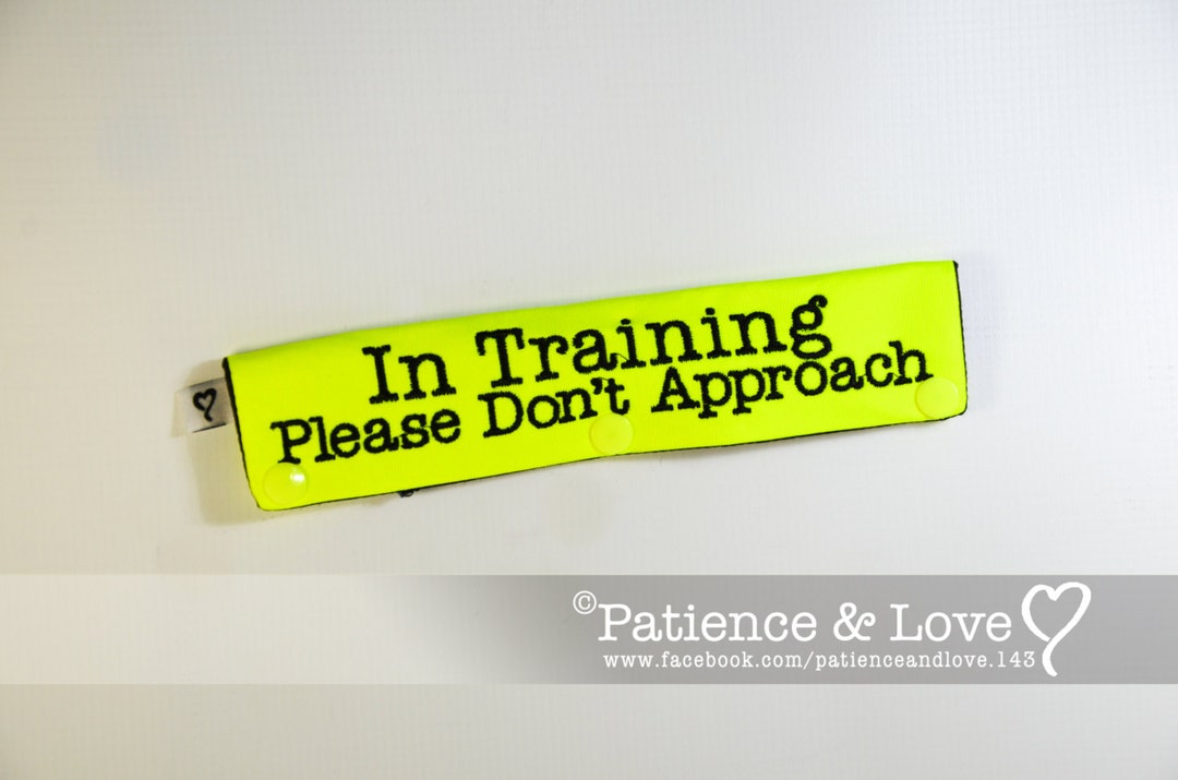 1 in Training Please Don't Approach, Leash Sleeve, Snap-on, 2 Lines on ...