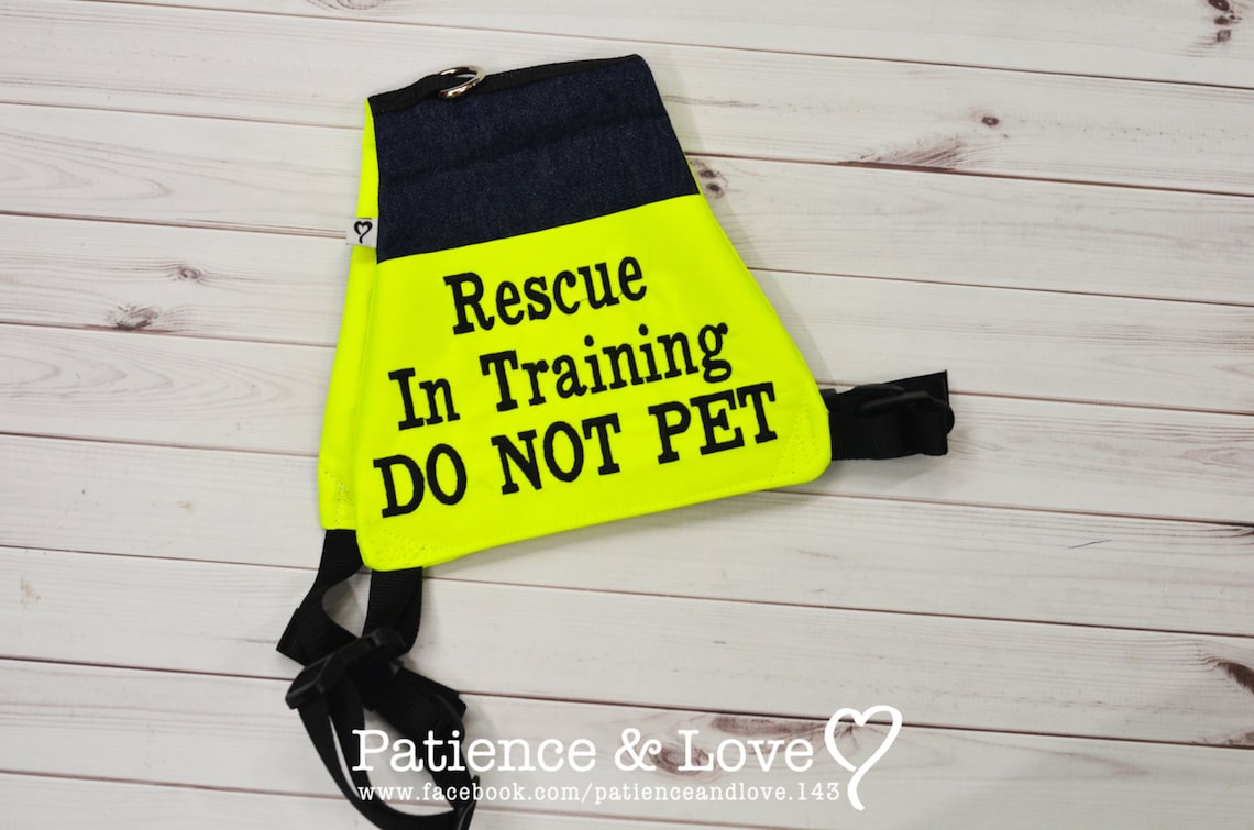 Dog Vest very Adjustable Rescue in Training DO NOT PET - Etsy