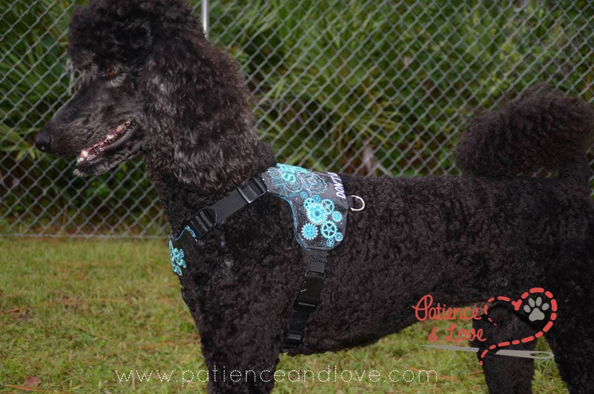 Printed Harness, Custom Full Color Printed Decoleather, Personalized ...