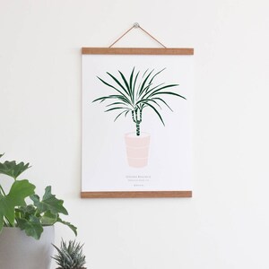Modern House Plant Print, Modern Botanical Print - Etsy
