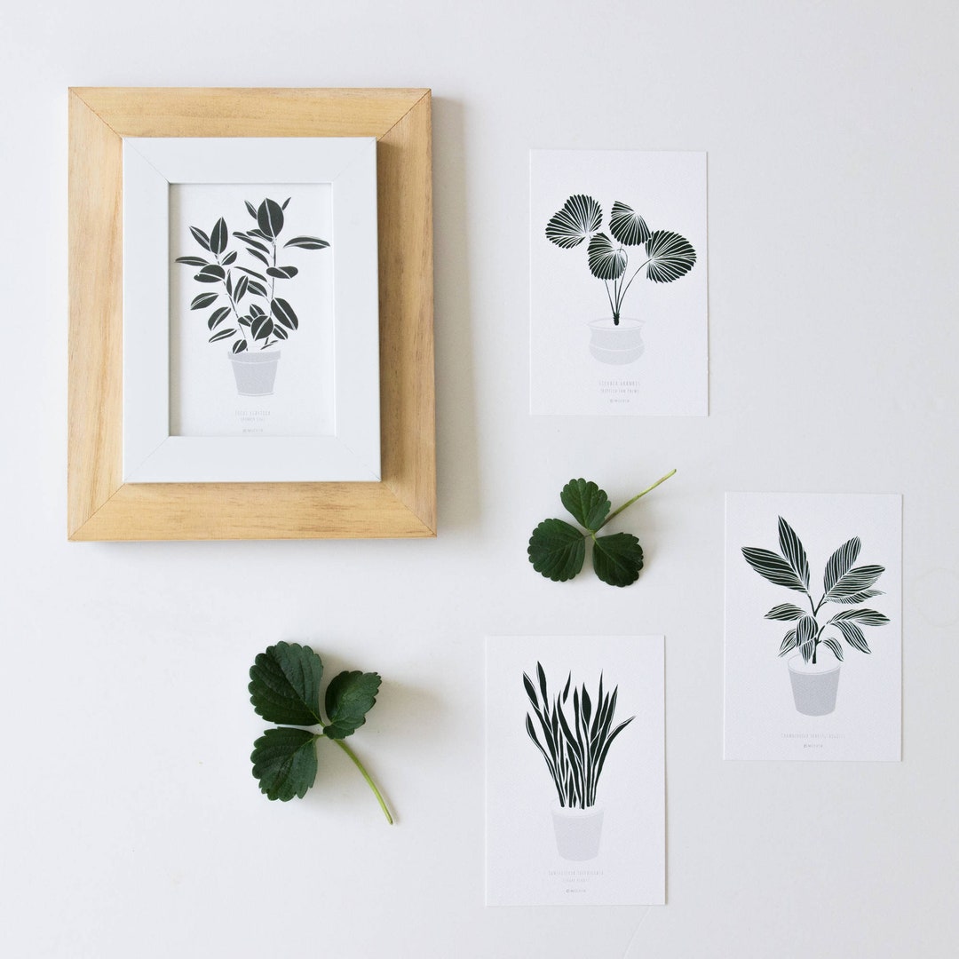 Small Botanical Prints, Ficus Elastica Plant Print Wall Art - Etsy