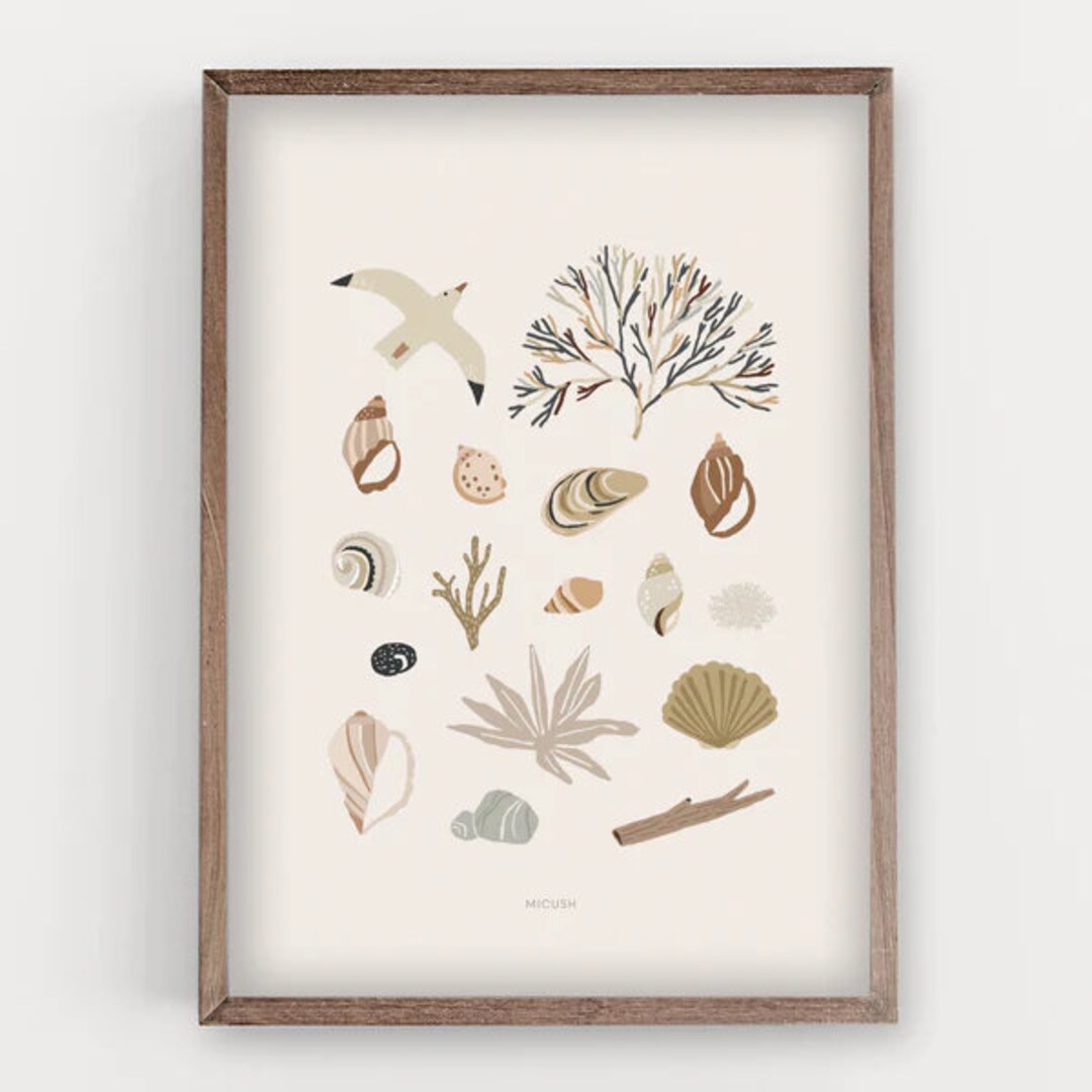 Sea-shells Poster, Baby Sea Shells Wall Art, Ocean Life, Nursery Print ...