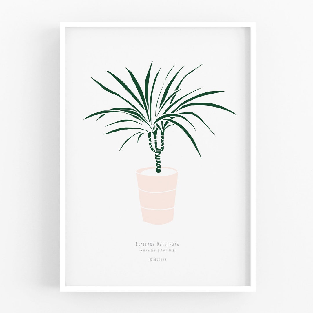 Modern House Plant Print, Modern Botanical Print - Etsy