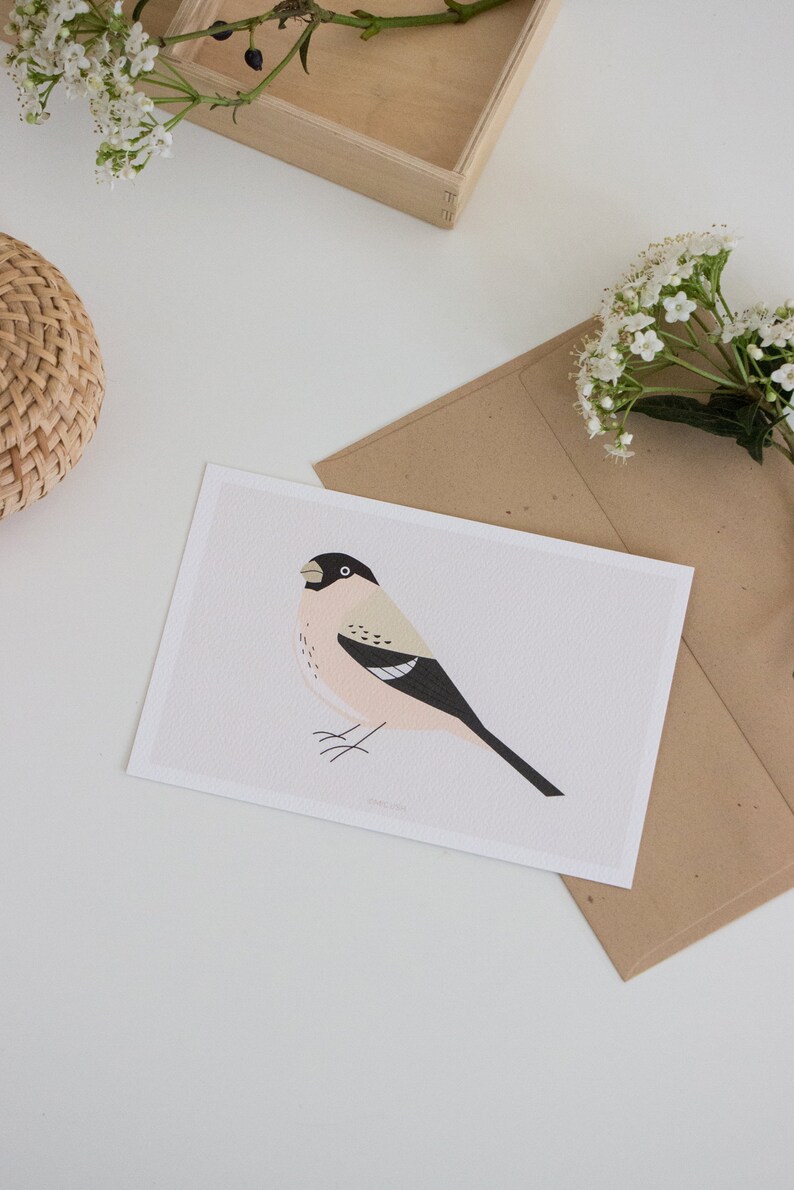 Birds postcard set of 4 modern birds print set | Etsy