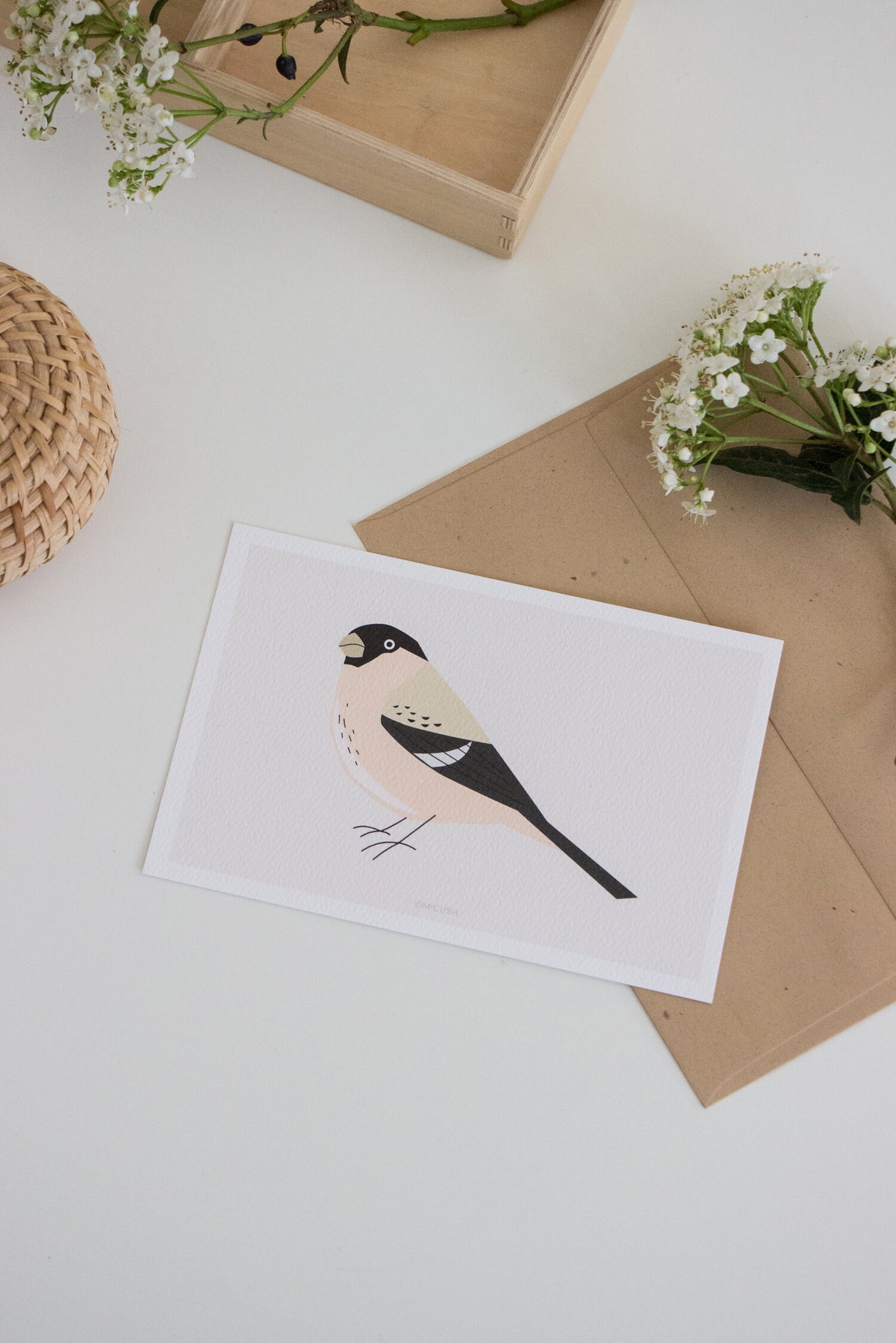 Birds Postcard Set of 4 Modern Birds Print Set - Etsy