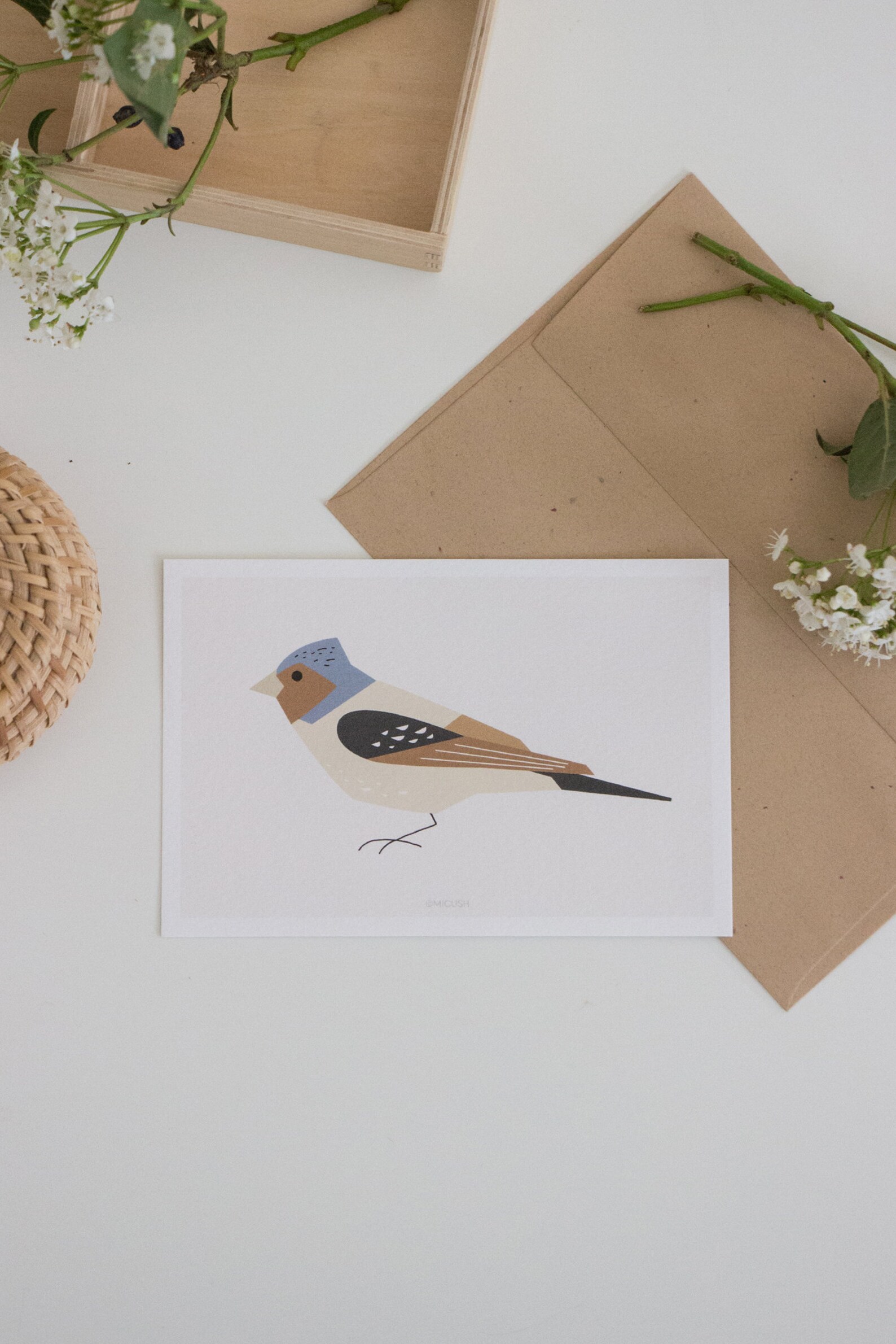Birds Postcard Set of 4, Modern Birds Print Set - Etsy
