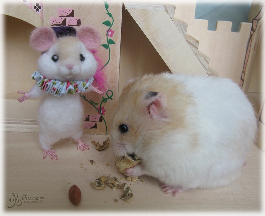 Wizard Hamster Card Fantasy Merlin Magic Magician Greetings | Etsy