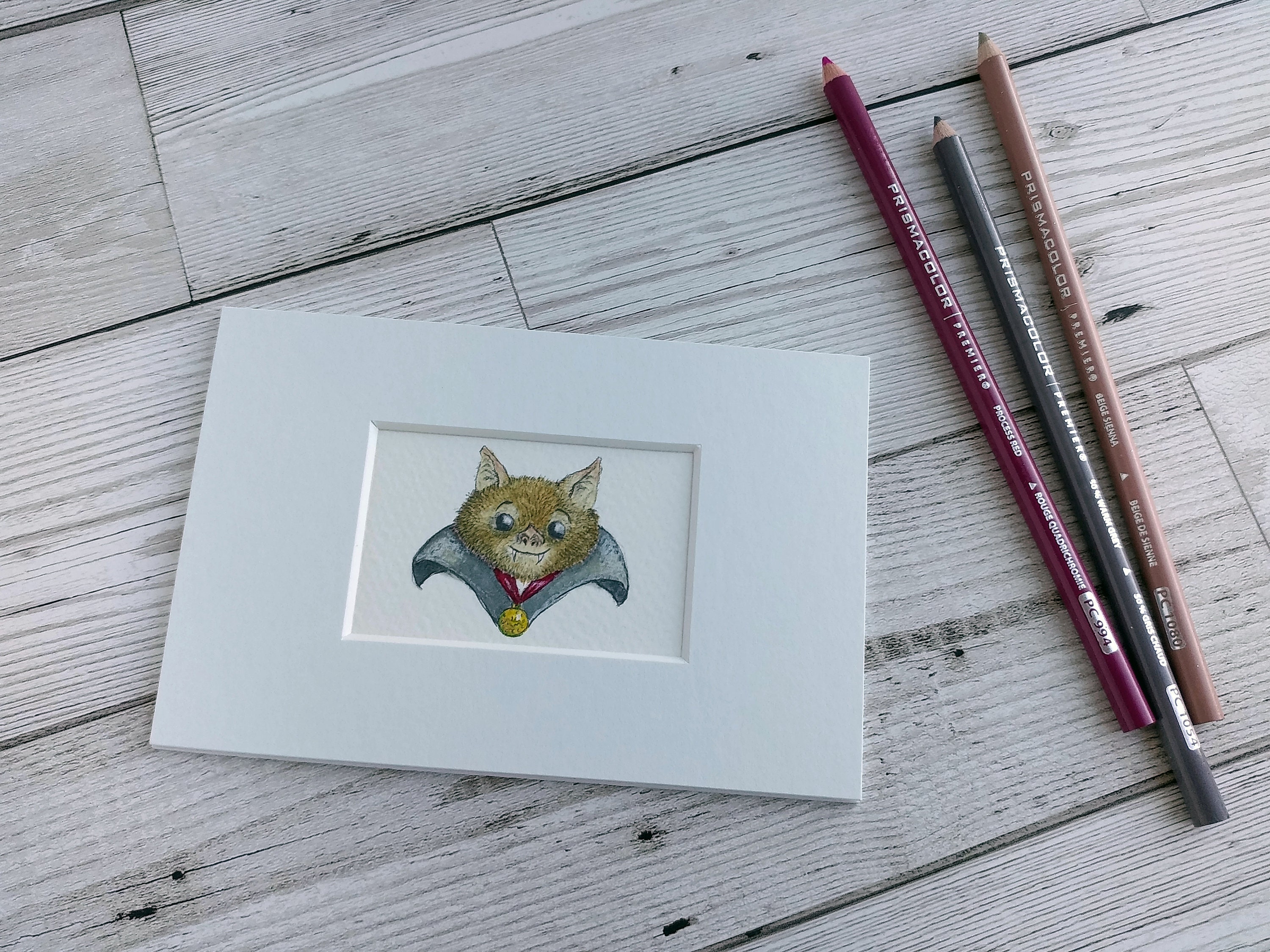 Marker Drawing & Illustration Pirate Vampire Bat Marker Illustration ...