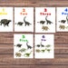 Dinosaur ABC Printable Flash Cards, Learning Toys, Dinosaurs, Printable ...