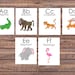 Jungle Animal Alphabet Flash Cards Zoo Animals (Instant Download) - Etsy