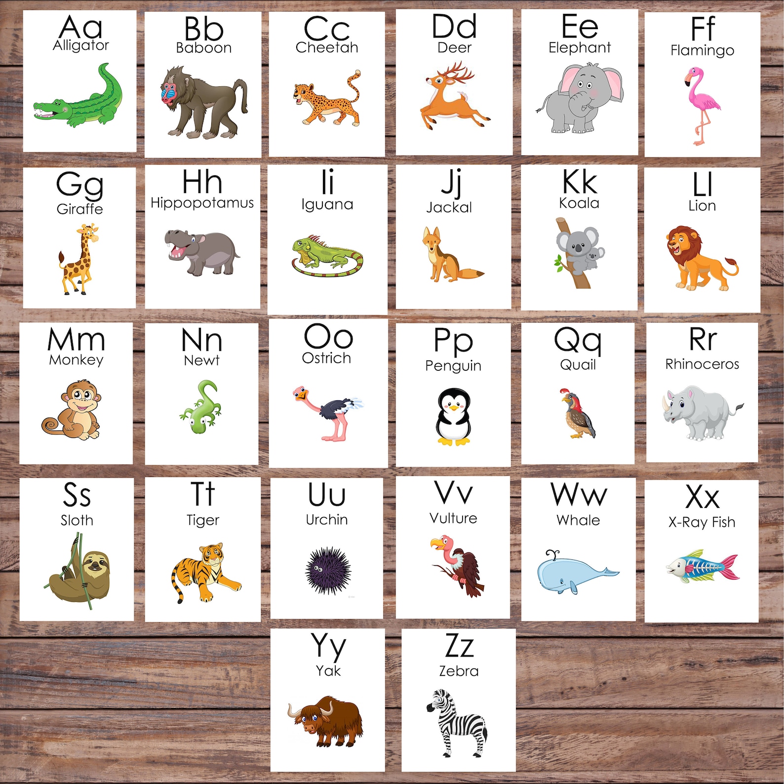 Jungle Animal Alphabet Flash Cards, Zoo Animals Learning Toys ...
