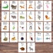 Jungle Animal Alphabet Flash Cards, Zoo Animals Learning Toys ...