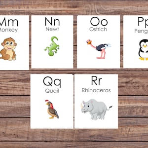 Jungle Animal Alphabet Flash Cards, Zoo Animals Learning Toys ...