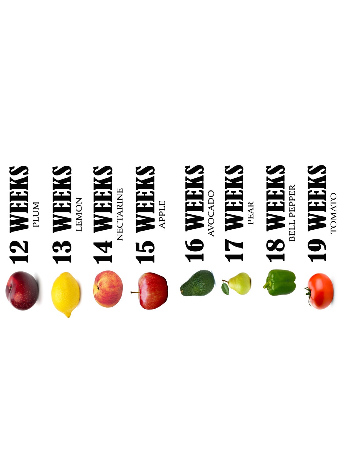 Week by Week Pregnancy, Fruit Pregnany Size, Printable Pregnancy ...