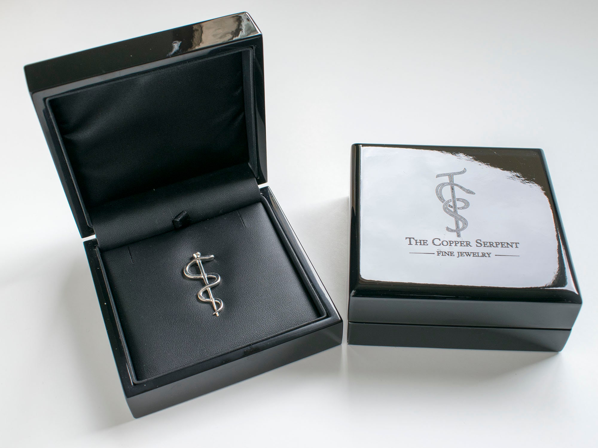 Rod of Asclepius Pin the Good Doctor Lapel Pin - Etsy Canada