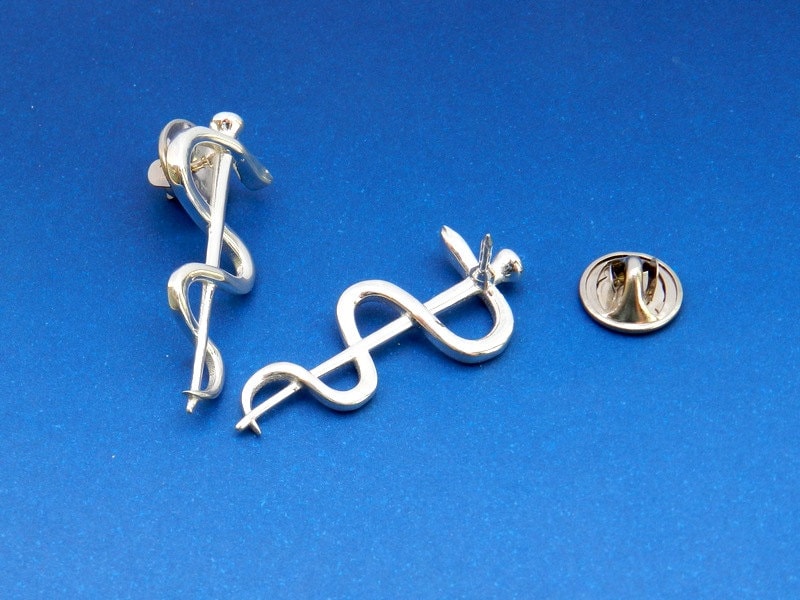 Rod of Asclepius Pin The Good Doctor Lapel Pin | Etsy