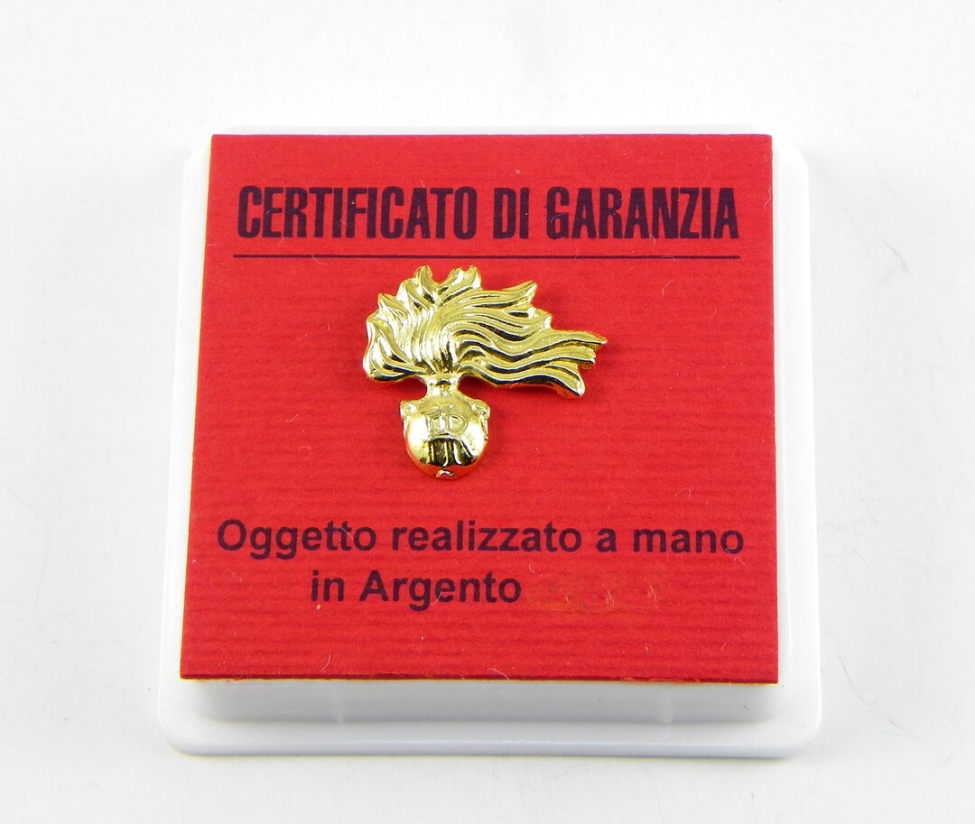 Fiamma Carabinieri Jaket Pin - Silver Gold Plated - Etsy