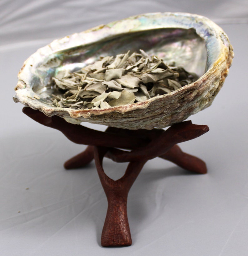 Smudging Kit abalone shell with stand and sage | Etsy