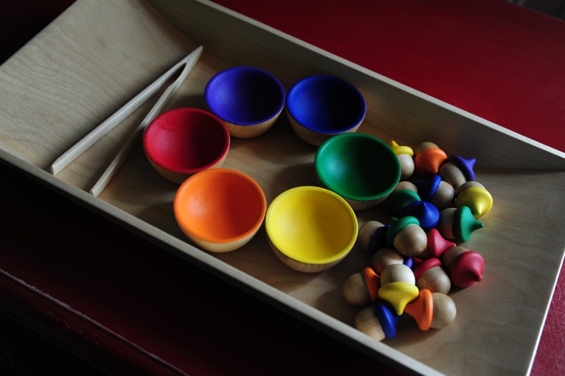 Back to School / Set of Rainbow Sorting Acorns, Bowls & a Tong ...
