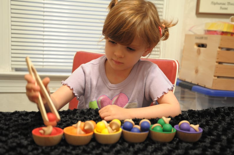 Back to School / Set of Rainbow Sorting Acorns, Bowls & a Tong ...