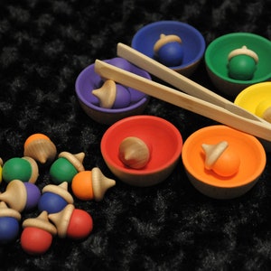 Back to School / Set of Rainbow Sorting Acorns, Bowls & a Tong ...