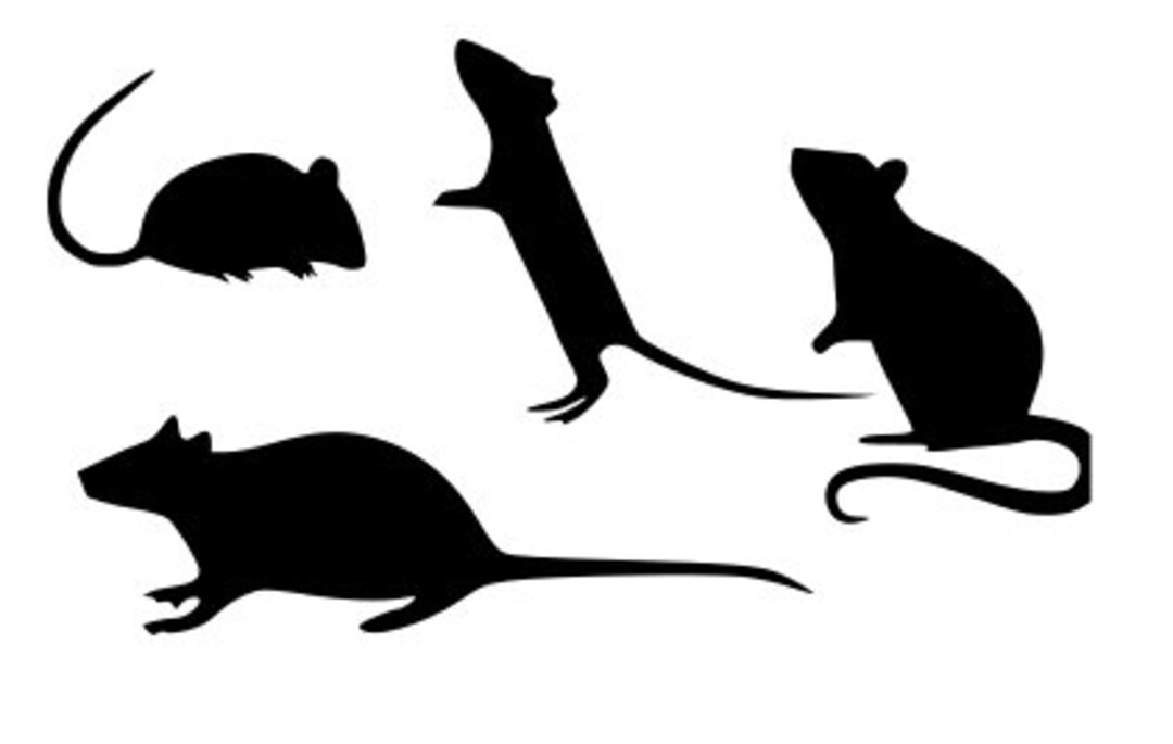 SVG Rat Pack Bundle 4 Rats Make Your Own Family Rat Decals - Etsy