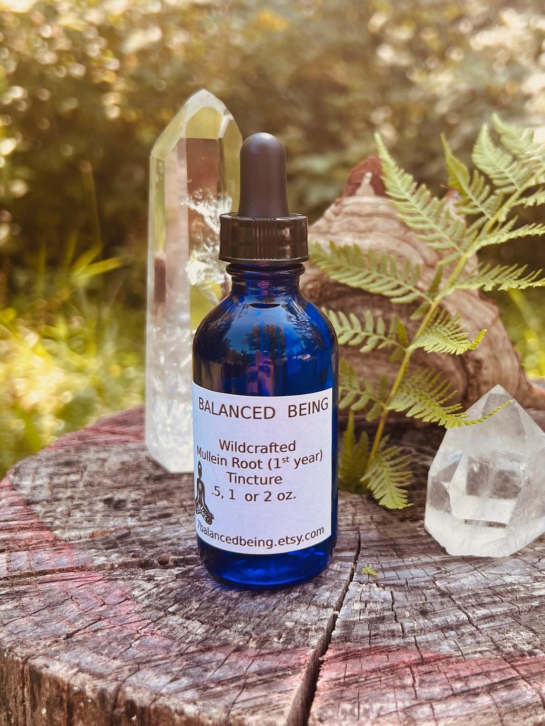 Wildcrafted MULLEIN ROOT Tincture (1st Year Root), 1 or 2 Oz Glass ...