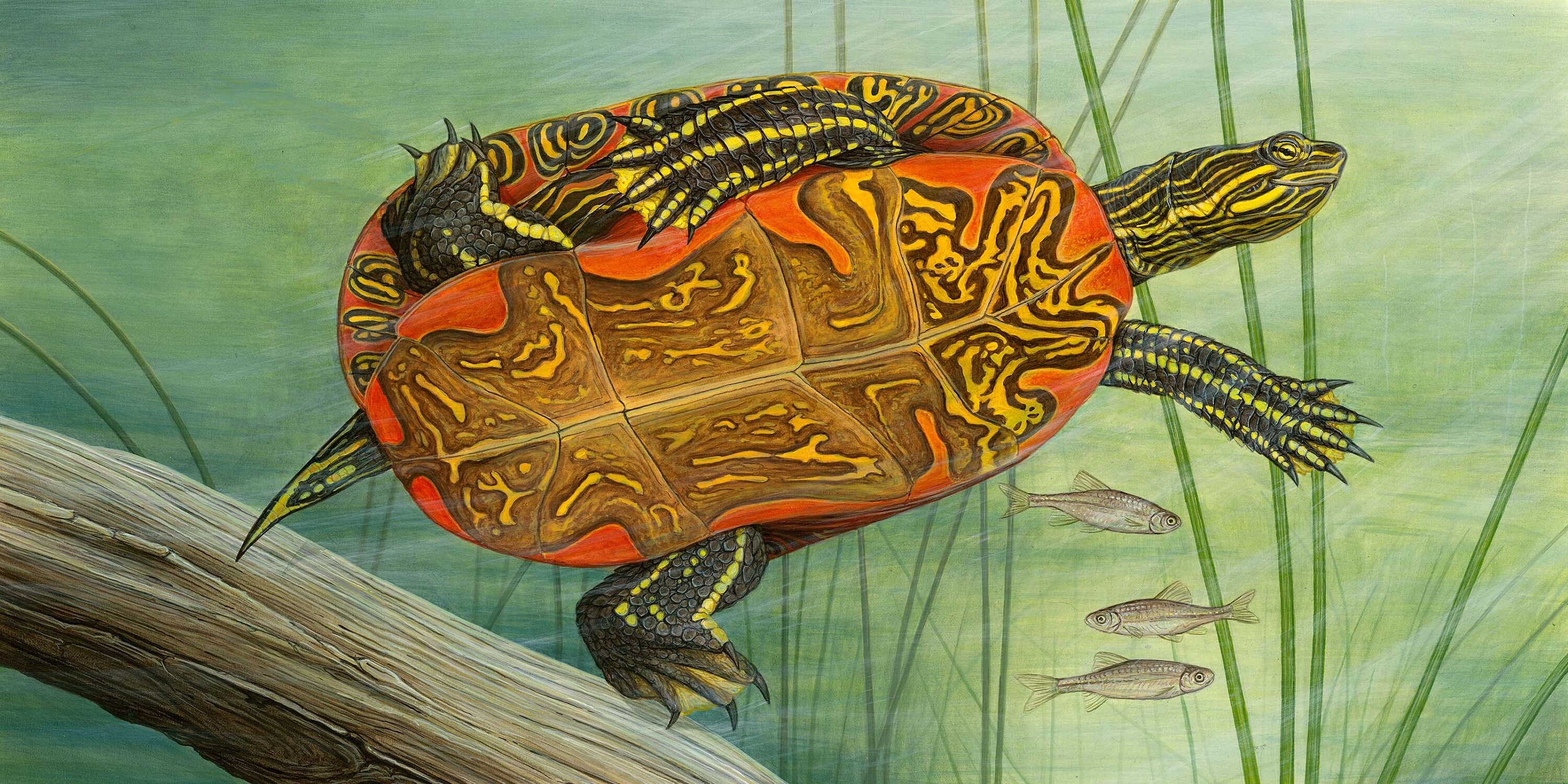 For Sale — Matt Patterson