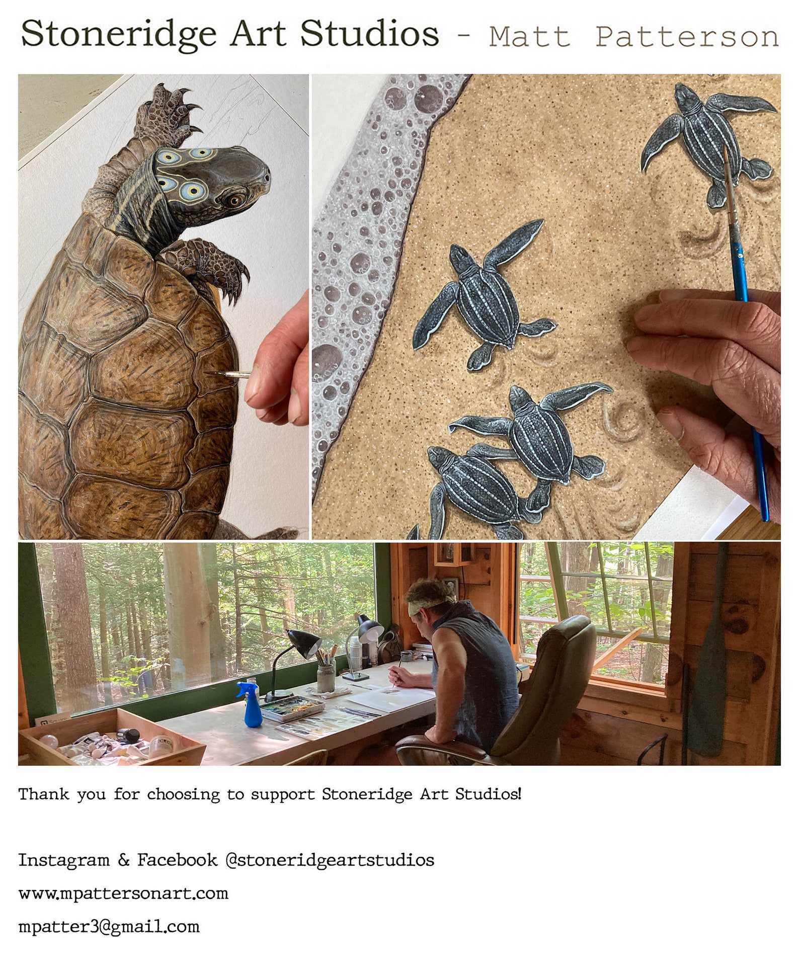 Marbled Salamander 8x10 Inch Print by Matt Patterson - Etsy