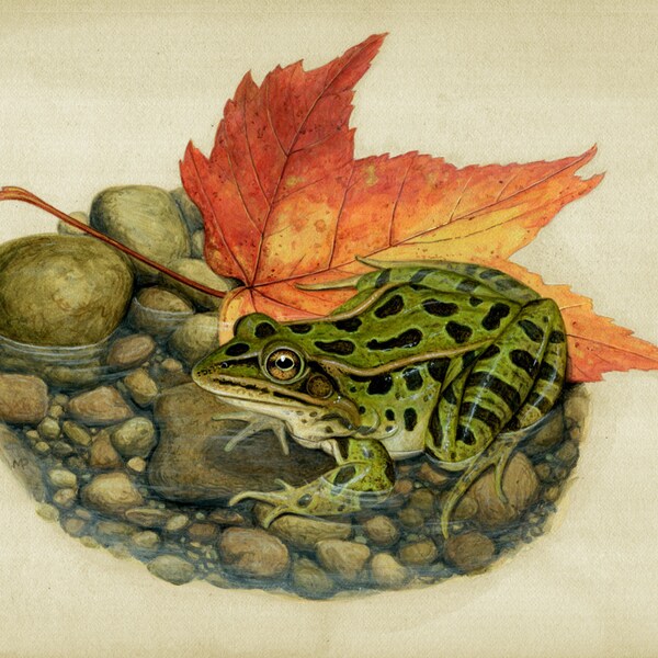 Matt Patterson - Etsy