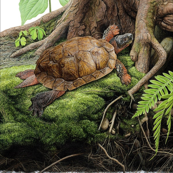 Matt Patterson - Etsy