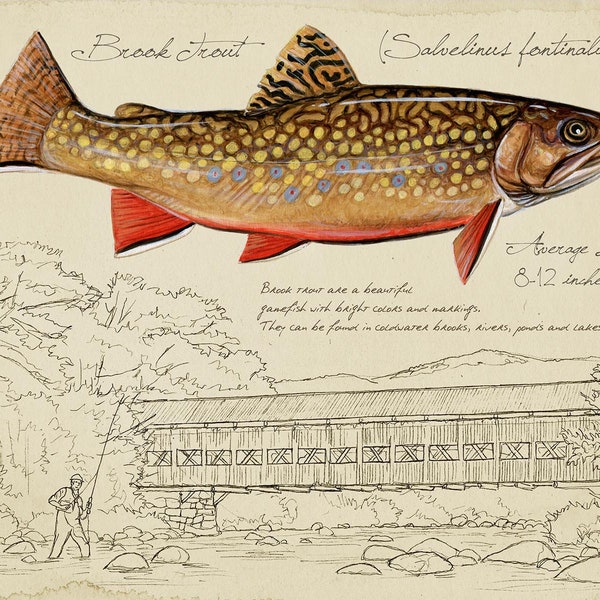Trout Print - Etsy